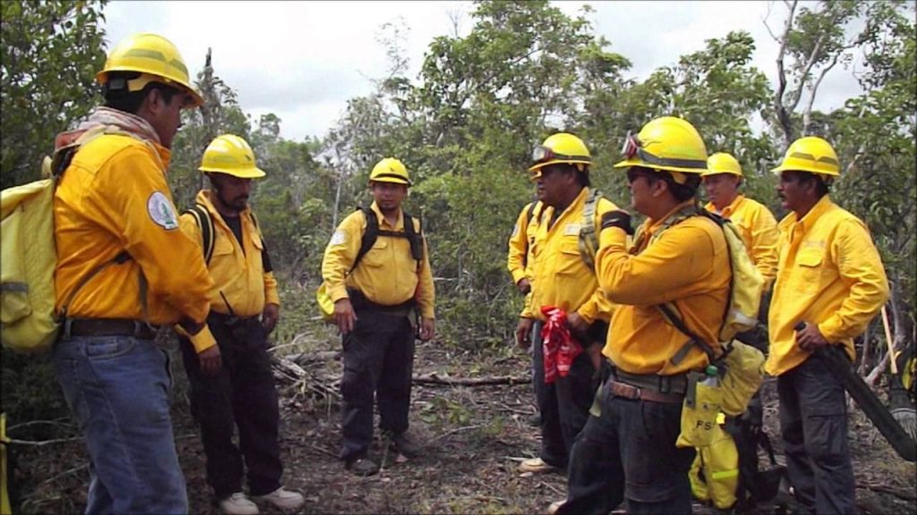 DÍa Nacional Del Combatiente De Incendios Forestales Incide